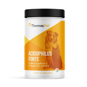 Thomas Labs Acidophilus Forte 16oz | Pet Health Plus Inc